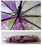 China Parasol Waterproof/Windproof 2 Folding Colorful Umbrella for Women for sale