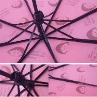 China Sakura Momoko Kids Foldable Umbrella 8mm Metal Shaft Auto Open Manual Close for sale