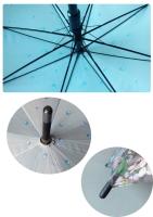 China 8mm Metal Shaft Windproof Straight Umbrella for Women Custom Logo Auto Open for sale