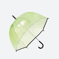 China 98cm Straight POE Transparent Dome Umbrella with J-Shape Handle - 33