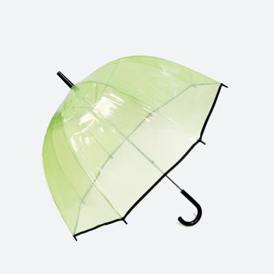 China 98cm Straight POE Transparent Dome Umbrella with J-Shape Handle - 33