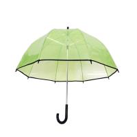 China 98cm Straight POE Transparent Dome Umbrella with J-Shape Handle - 33