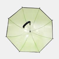 China 98cm Straight POE Transparent Dome Umbrella with J-Shape Handle - 33