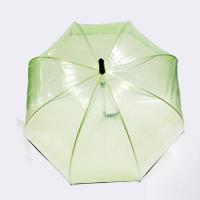 China 98cm Straight POE Transparent Dome Umbrella with J-Shape Handle - 33