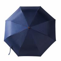 China 21-Inch Mini Foldable Auto Open Umbrella with Metal Ribs & Fiberglass Frame - Windproof Double Canopy Design for sale