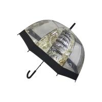 China Dome Shape Clear POE Umbrella With Scenery Printing for sale