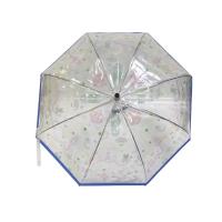 China Automatic Open Apollo Transparent Bubble Umbrella 21 Inch 8 Panels Windproof Fiberglass for sale