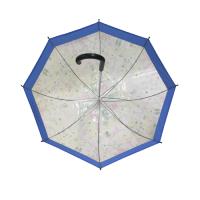 China Automatic Open Apollo Transparent Bubble Umbrella 21 Inch 8 Panels Windproof Fiberglass for sale