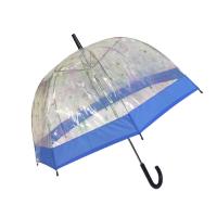 China Automatic Open Apollo Transparent Bubble Umbrella 21 Inch 8 Panels Windproof Fiberglass for sale