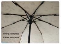 China Shinny Skull Handle Foldable Windproof Umbrella For Men for sale