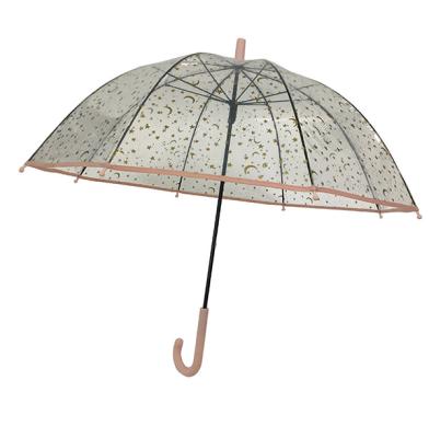 China Promotional Clear POE Dome Transparent Automatic Umbrella 23 Inch 8K Metal Frame for sale