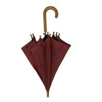 China Plastic Curved Handle 190T Polyester Kids Compact Umbrella 16''*8K for sale