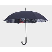 China Train Printing Windproof 8 Ribs Compact Golf Umbrella 27