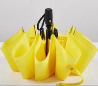 China Foldable Fiberglass Ribs Pongee Compact Windproof Umbrella 21inch 8k Auto Open Close for sale
