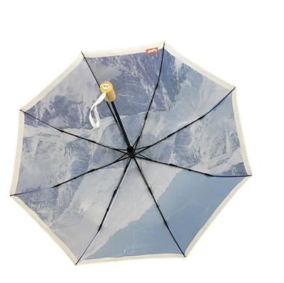 China Digital Printing Metal Frame Windproof Folding Umbrella With Bamboo Handle for sale