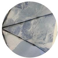 China Digital Printing Metal Frame Windproof Folding Umbrella With Bamboo Handle for sale