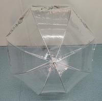 China TUV Automatic Open Clear POE Kids Compact Umbrella 100cm for sale
