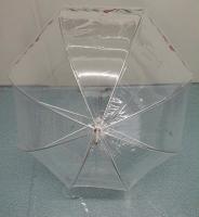 China TUV Automatic Open Clear POE Kids Compact Umbrella 100cm for sale