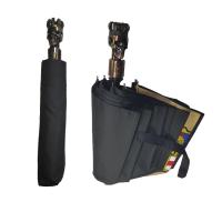 China Auto Open And Close 3 Folding Pongee Windproof Umbrella With Skull Handle for sale