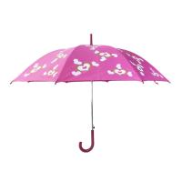 China Windproof Digital Printing Auto Open Straight Umbrella For Women for sale