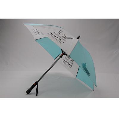 China Pongee Fabric 8mm Metal Shaft Auto Open Close Straight Umbrella with Fan for sale