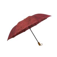 China BSCI Printed 2 Fold Auto Open Close Windproof Travel Umbrella for sale