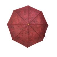 China BSCI Printed 2 Fold Auto Open Close Windproof Travel Umbrella for sale