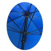 China Manual Open Fiberglass Shaft Pongee Small Golf Umbrella for sale