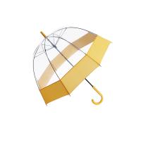China Transparent Dome Shape Automatic PVC Apollo Umbrella With Custom Logo Print for sale