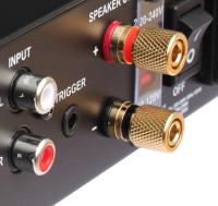 China Mini Mono Subwoofer Amplifier Class D Solid Integrated Power Amplifier 100W For Home Theater for sale
