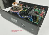 China 1000 Watts High Power Low Frequency Mono Audio Amplifier For Passive Subwoofer Speaker for sale