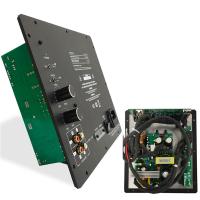 China Class D Digital Plate Amplifier Module DSP Mono 250 Watt Subwoofer Plate Amplifier for sale