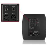 China 200W 10 Inch Subwoofer Speaker Powered Home Audio Speakers With Dual Audio Inputs for sale