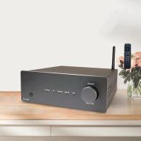 China 100W RMS HiFi Audio Power Amplifier Class D Audio Amp Desktop Compact 2 Channel Stereo Amplifier for sale