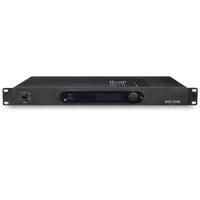 China Home Audio Subwoofer Mono Power Amplifier Custom Powerful Monoblock Class D Amp for sale