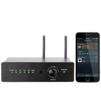 China High-Resolution 192kHz/24-bit PCM Audio Wireless Stereo Power Amplifier with 2.1 Channel Configuration and 100W RMS Output for sale