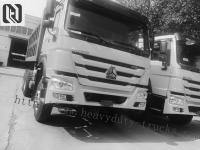 China 10 Wheel 371HP 20 Cubic Meters Sinotruk HOWO Tipper Iron Material White Color for sale