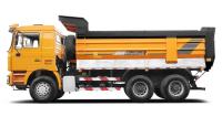 China Shacman F3000 Heavy Duty Dump Truck Euro 4 336 House Power Manual Transmission for sale