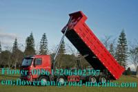 China HOWO 8X4 Large Power Heavy Duty Dump Truck Tipper Trailer One Sleeper 51 - 60t for sale
