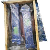 China Bosch Rexroth CDT3MT1 63 36 400Z20B11HDDMWW Heavy Hydraulic Cylinders for sale