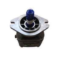 China Rexroth R901147118 PGH5-3X/125RE11VU2 Gear Pump Cast Iron 3Bar High Precision for sale