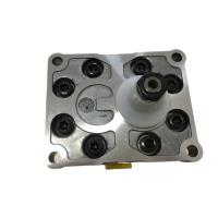 China Danfoss Gear Pump 111.25.071.0C SNP3NN 055RN01BA P1F6F6NNNN NNNNN 28N0V High Performance Output for sale