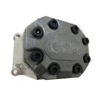 China Danfoss Gear Pump 111.25.071.0C SNP3NN 055RN01BA P1F6F6NNNN NNNNN 28N0V High Performance Output for sale