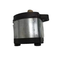 China Rexroth Gear Pump AZPW-21-008RQRXXMB-S0593 Silver High Performance Cast Iron for sale