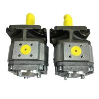 China Rexroth Vane Pump PGP2-22 006RE20VE4 For Industrial Applications for sale