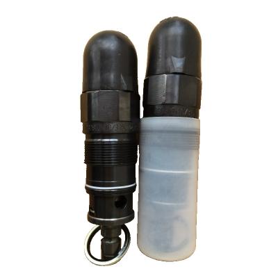 China Original Rexroth DBDS10K1C 315 Hydraulic Relief Valve Safety for sale