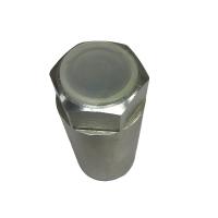 China Rexroth S10A15-10 450J3 Hydraulic Check Valve 315Bar New Original for sale