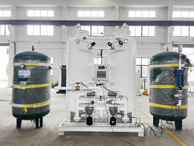 China 95%-99.999% Pressure Swing Adsorption Nitrogen Generation PSA N2 Generator for sale