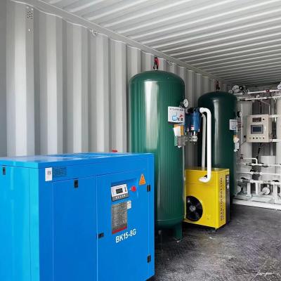 China CE Centralised Oxygen Supply System 220V PSA Based Oxygen Plant for sale