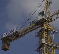 China 60m Jib Length 8t Load Tower Crane With Great Price QTZ80 PT6015-8 for sale